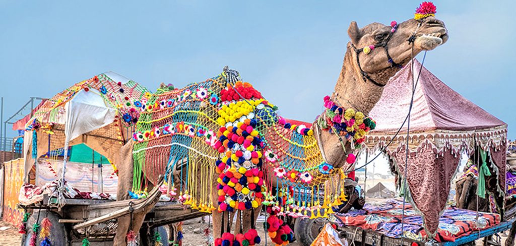 Fairs Festivals – Fortunate India Tours